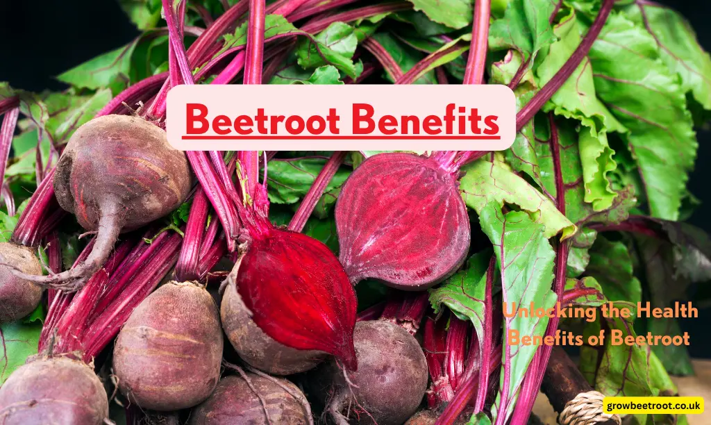 Beetroot Benefits | Top Health Benefits of Beetroot